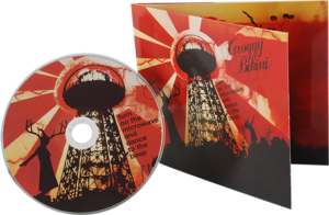 Go Beyond Digital with Custom CDs and Vinyl | CD Baby
